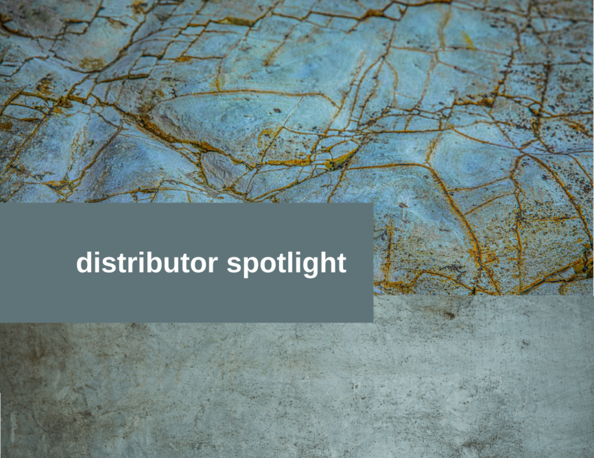 Distributor Spotlight: American Business Woman Day