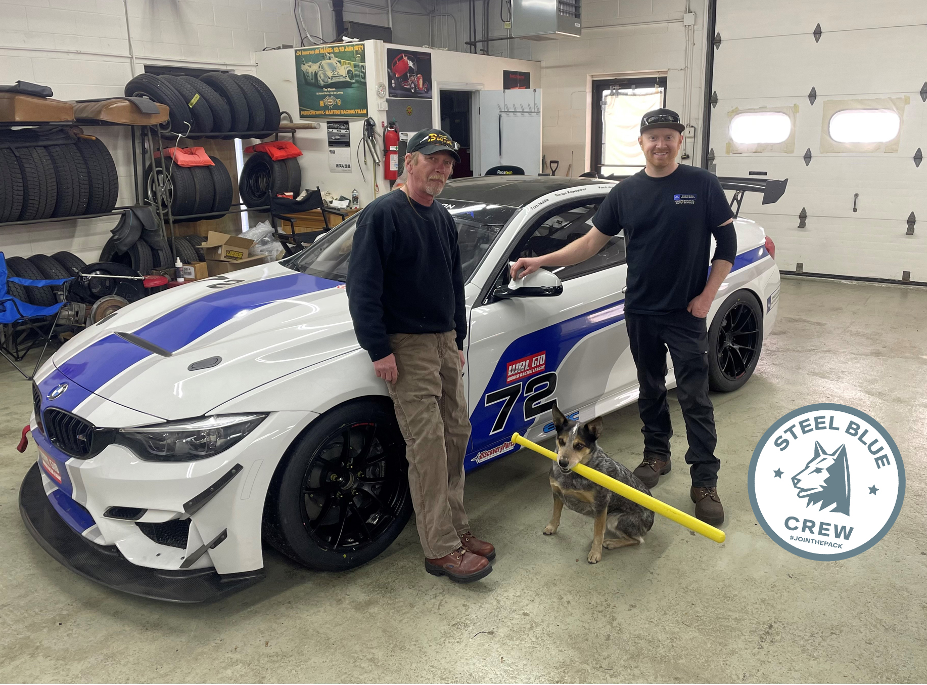 Steel Blue Crew: Meet Pepper, the baseball playing blue heeler